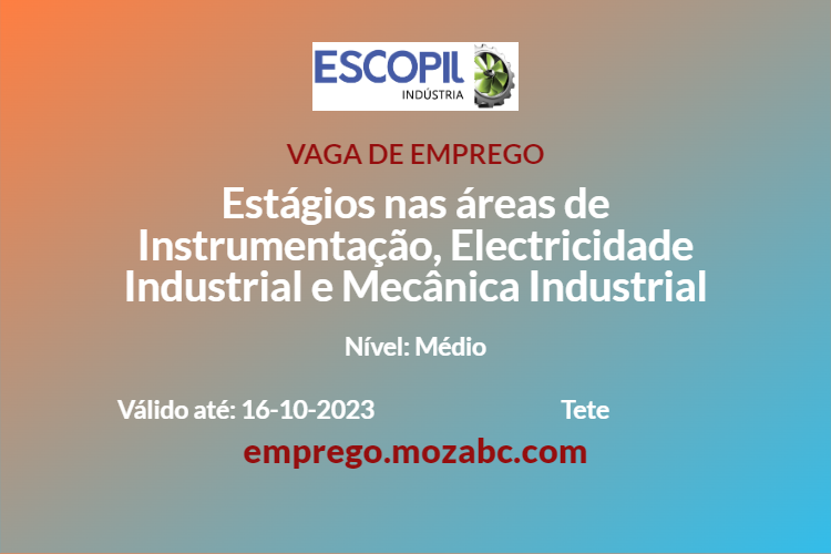 Estágios nas áreas de Instrumentação, Electricidade Industrial e ...